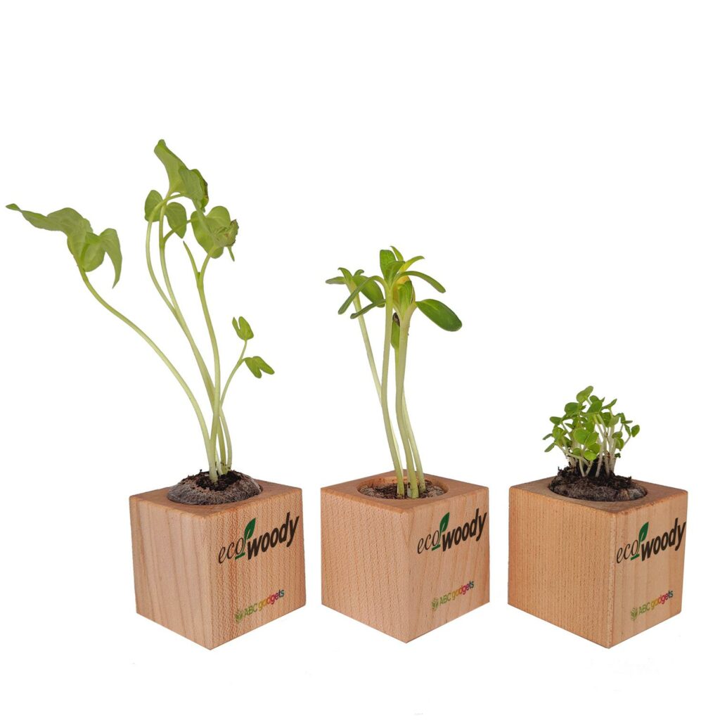 5 Gadget ecologici in materiali riciclati » ABC Gadgets